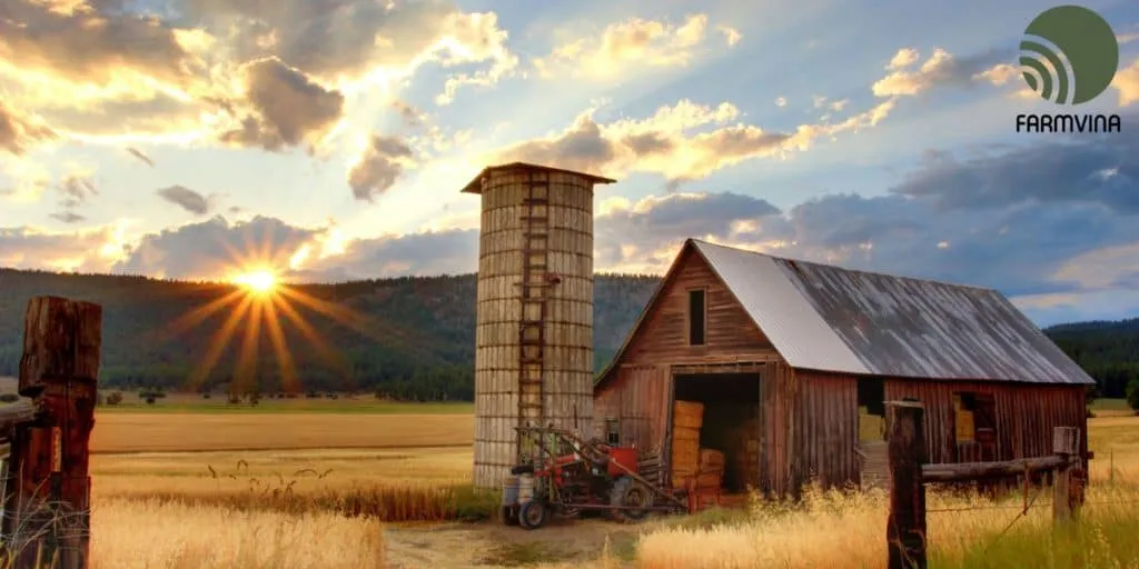 Ranch vs Farm: Unveiling Key Differences | Farmvina Ranch vs Farm: Unveiling Key Differences | Farmvina